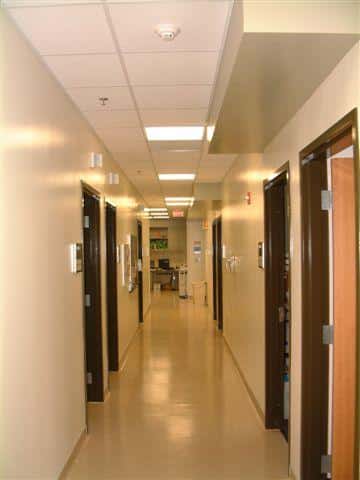 Design Build Gastrointestinal (GI) Department - Stronghold Engineering