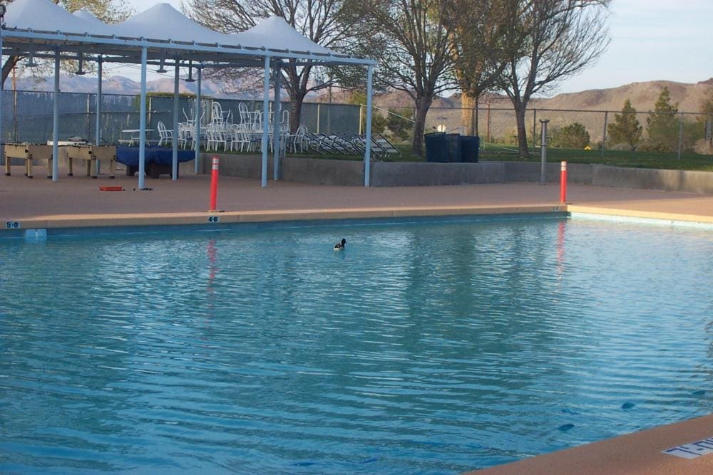 Repair Mechanical System Oasis Pool - Stronghold Engineering